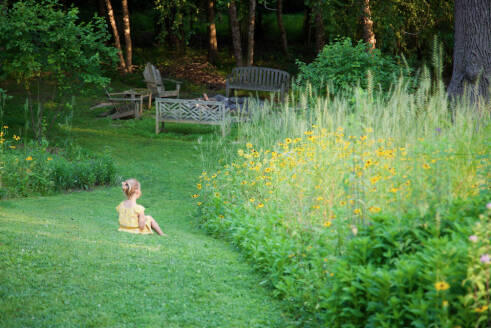 Garden Visit: Refugia's Quiet Revolution in Philadelphia's Suburbs ...