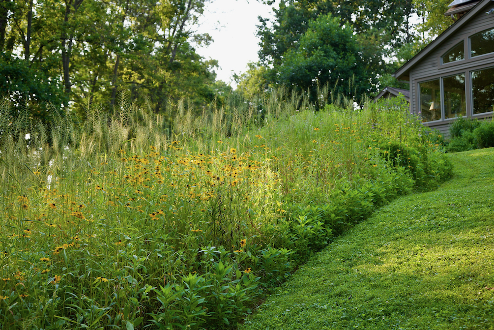 Garden Visit: Refugia's Quiet Revolution in Philadelphia's Suburbs ...