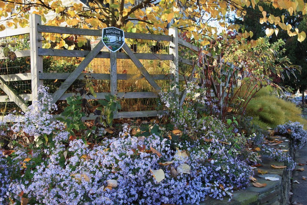 Garden Futures Summit: How Gardens Will Evolve and Respond to Climate ...
