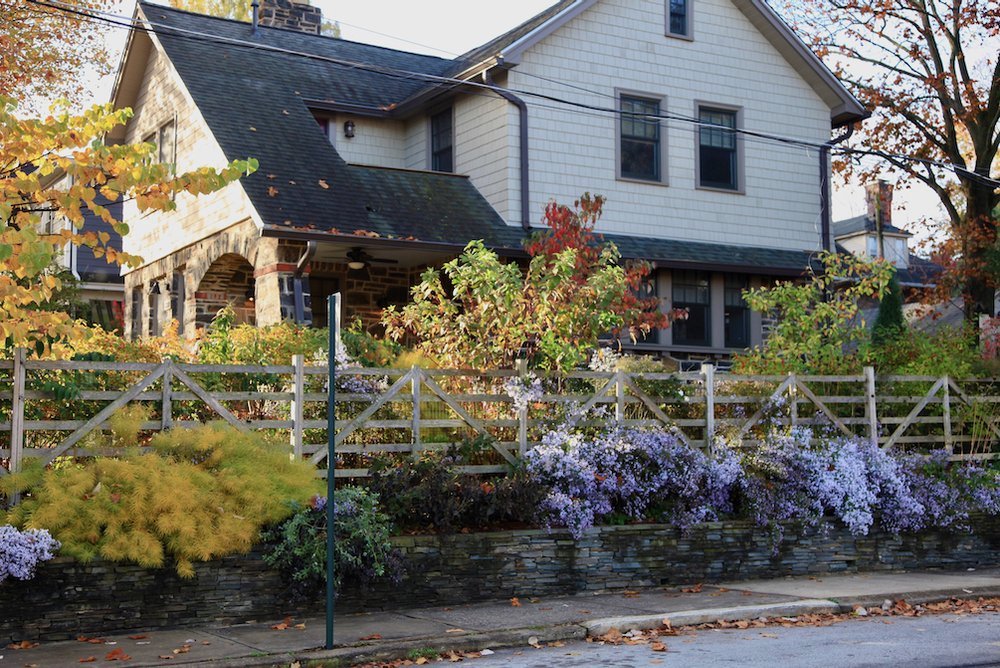 Garden Visit: Refugia's Quiet Revolution in Philadelphia's Suburbs ...