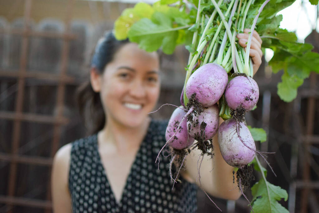 Radishes: Early, Easy, Delicious - Gardenista