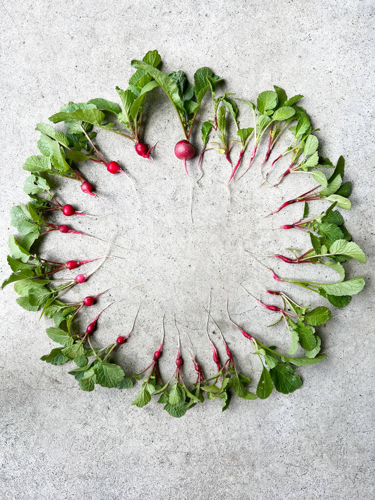 Radishes: Early, Easy, Delicious - Gardenista