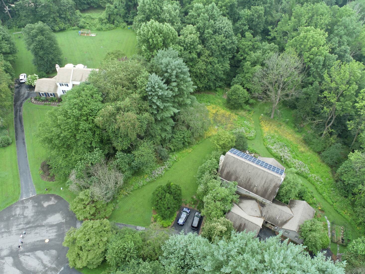 Garden Visit: Refugia's Quiet Revolution in Philadelphia's Suburbs ...