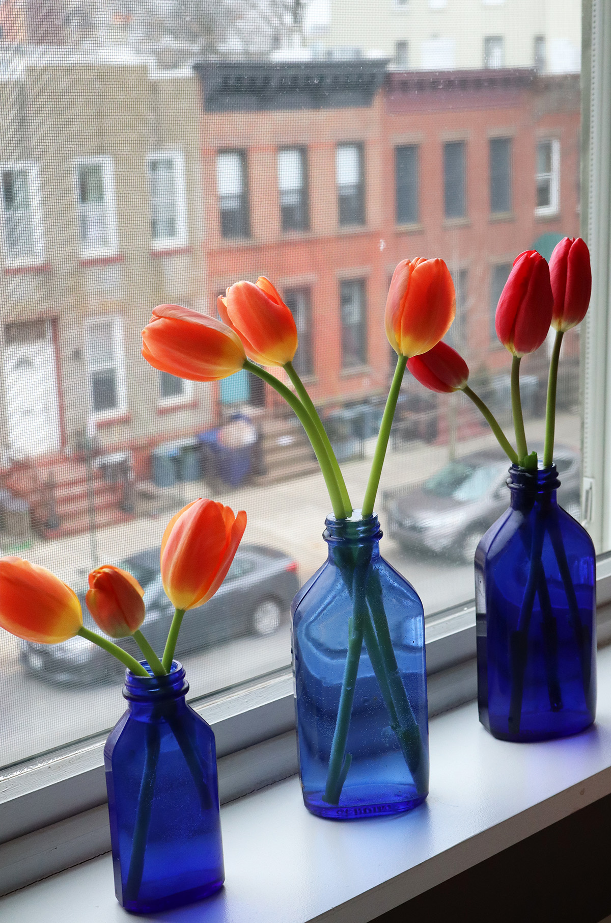 Choose tulips so that they stay fresh as long as possible