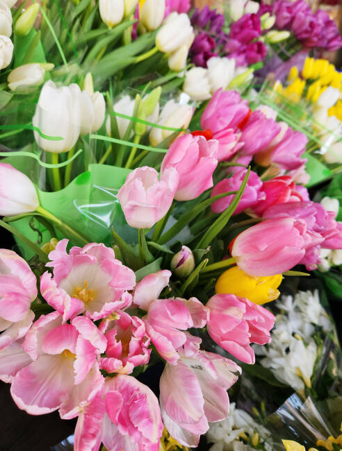 Choose tulips so that they stay fresh as long as possible