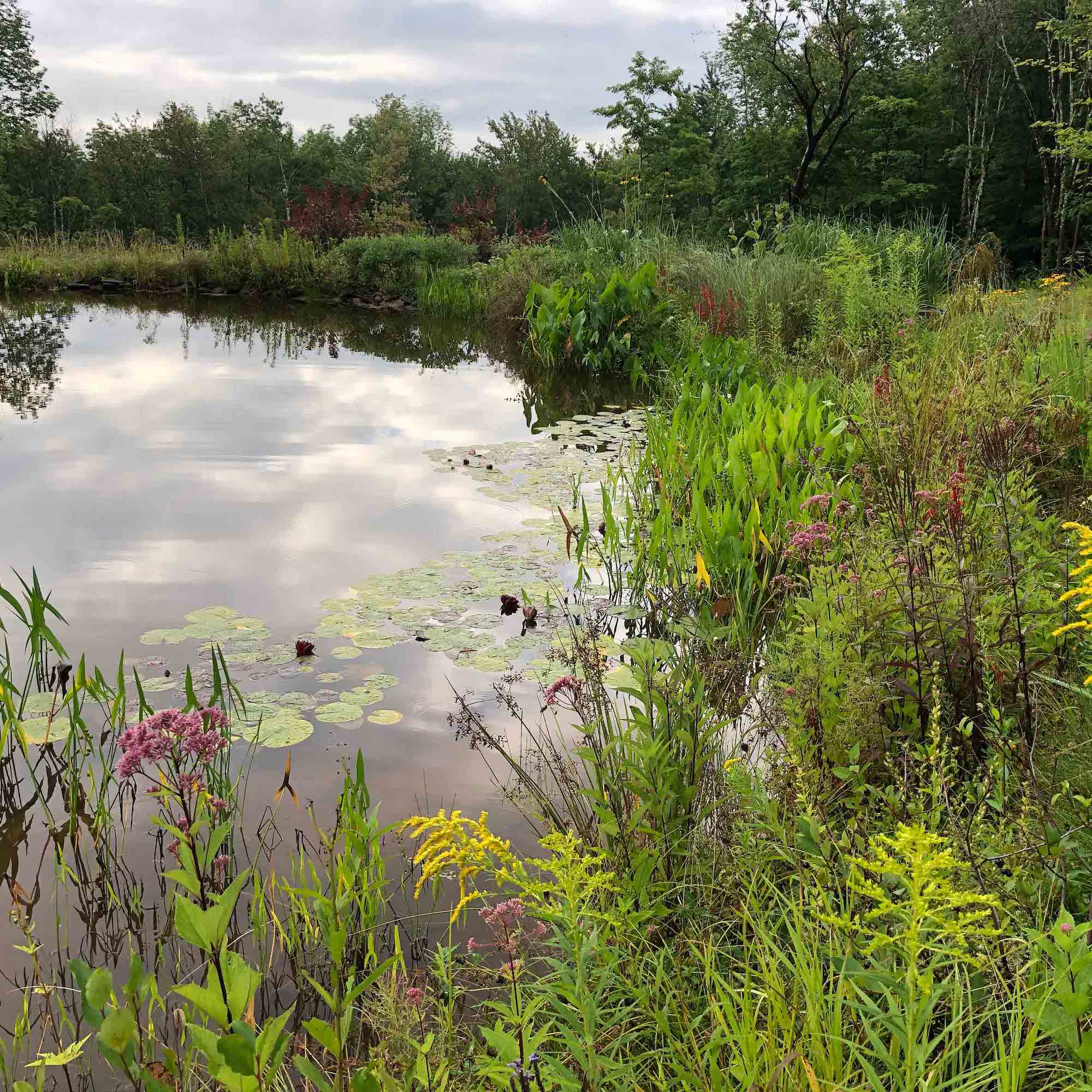 Lessons Learned: The Founders of Gardenheir Share the Highs and Lows of ...