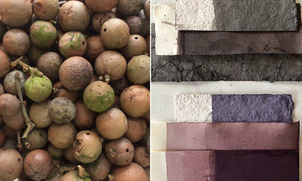 Open Your Eyes to Natural Dyes—And Not Just For Textiles - Gardenista