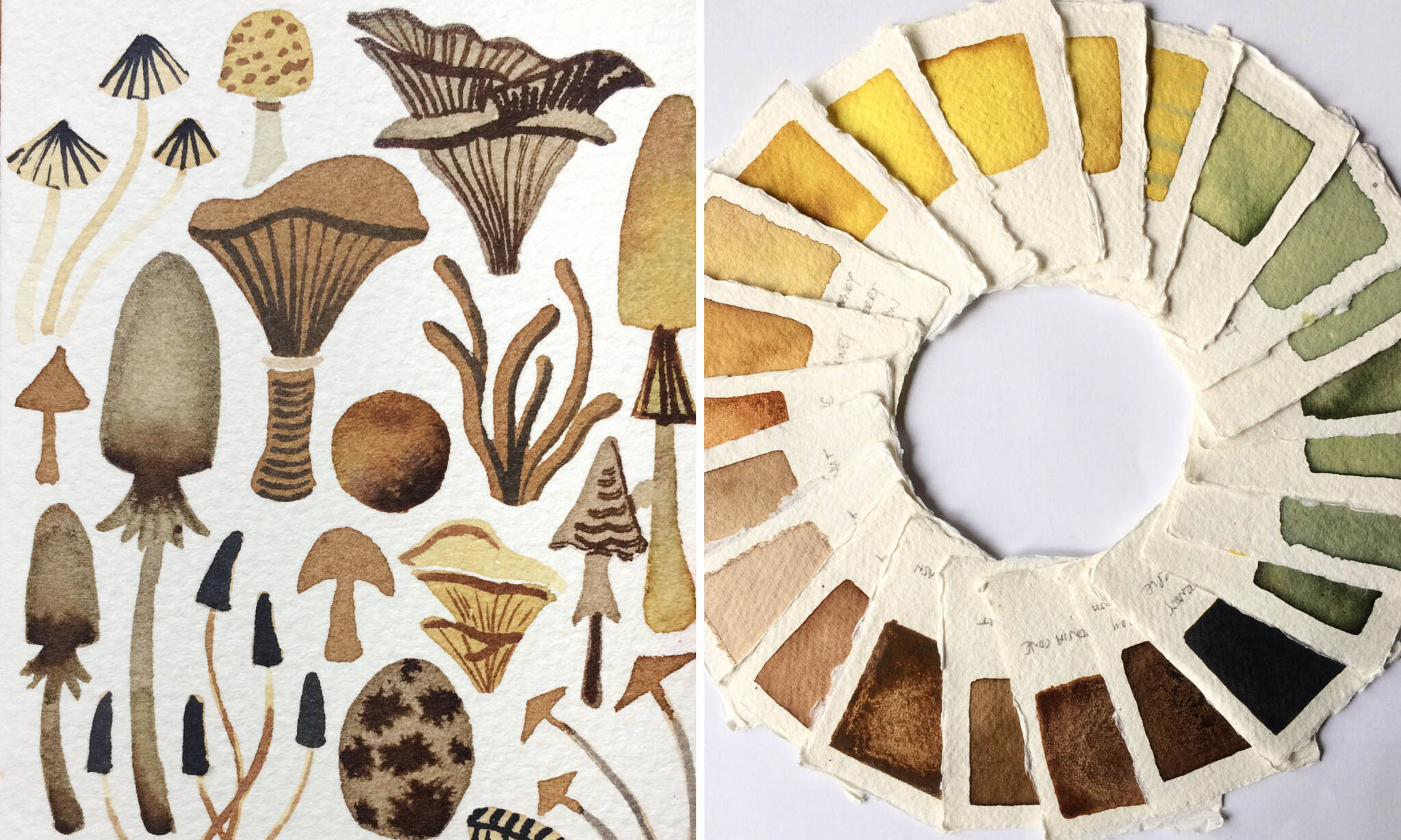 Open Your Eyes to Natural Dyes—And Not Just For Textiles - Gardenista