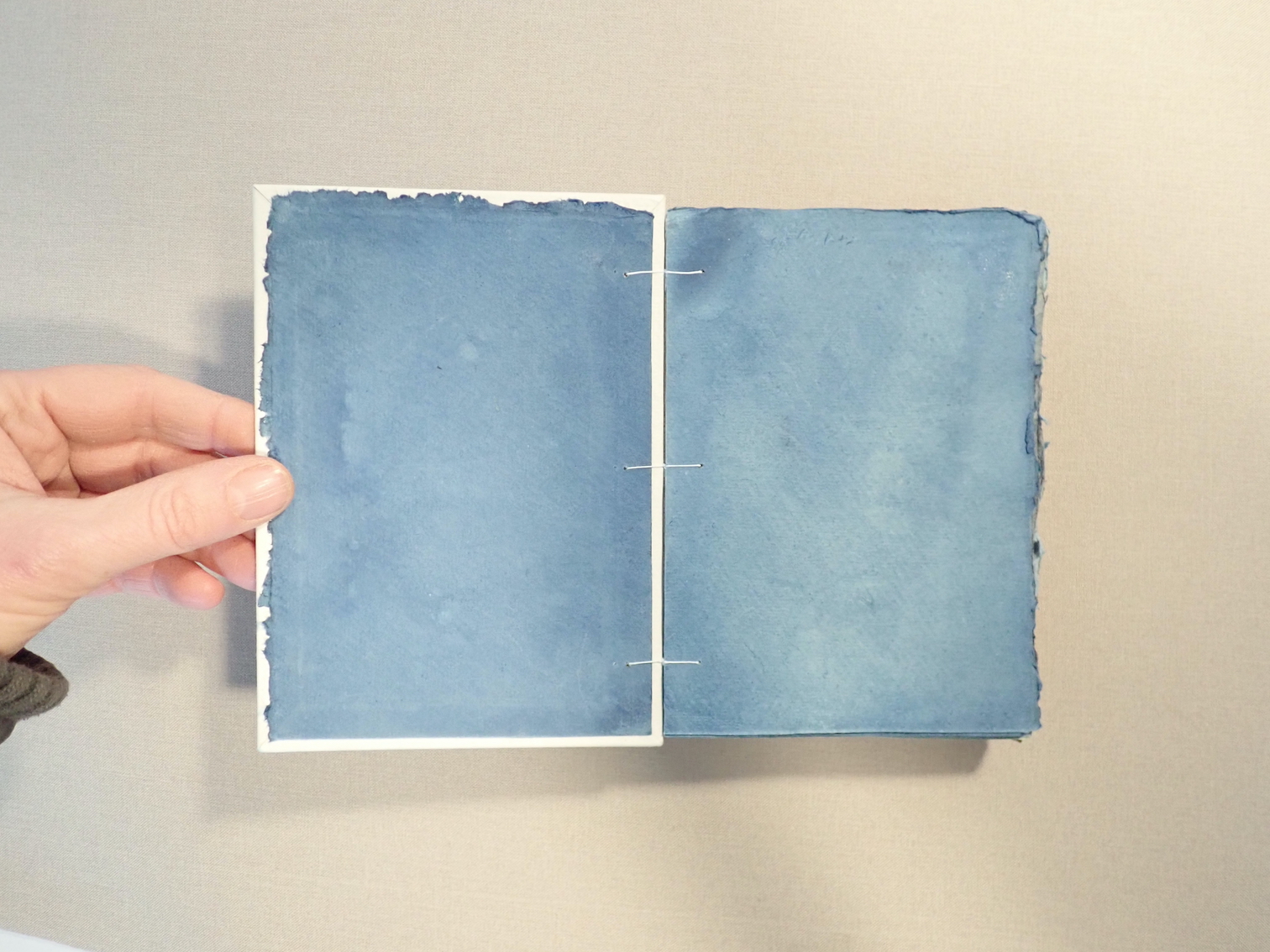 Open Your Eyes to Natural Dyes—And Not Just For Textiles - Gardenista