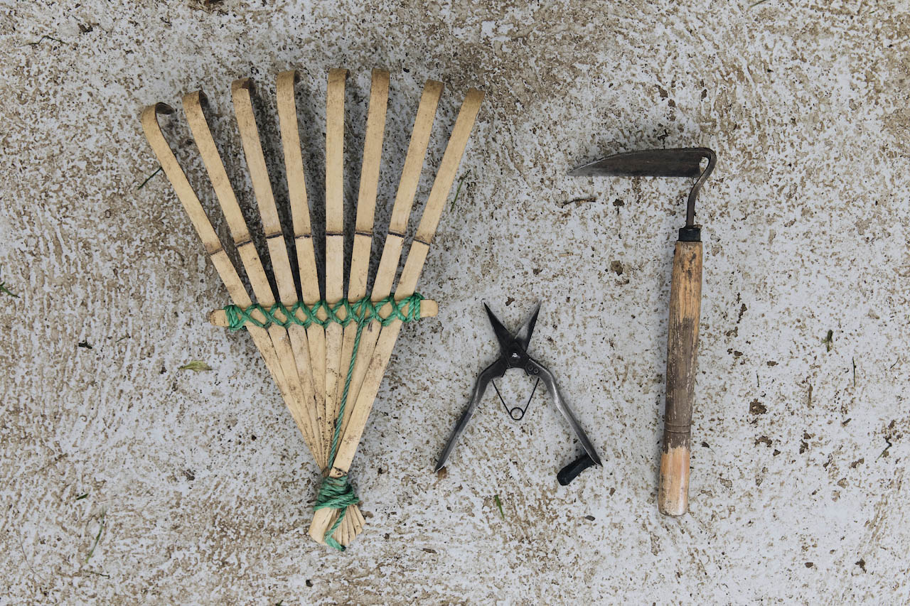 Required Reading: 'The Cut Flower Sourcebook: Exceptional Perennials ...