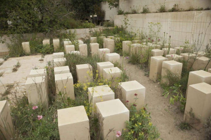 The Romance of Rubble: Why People Are Talking About Gardening With ...