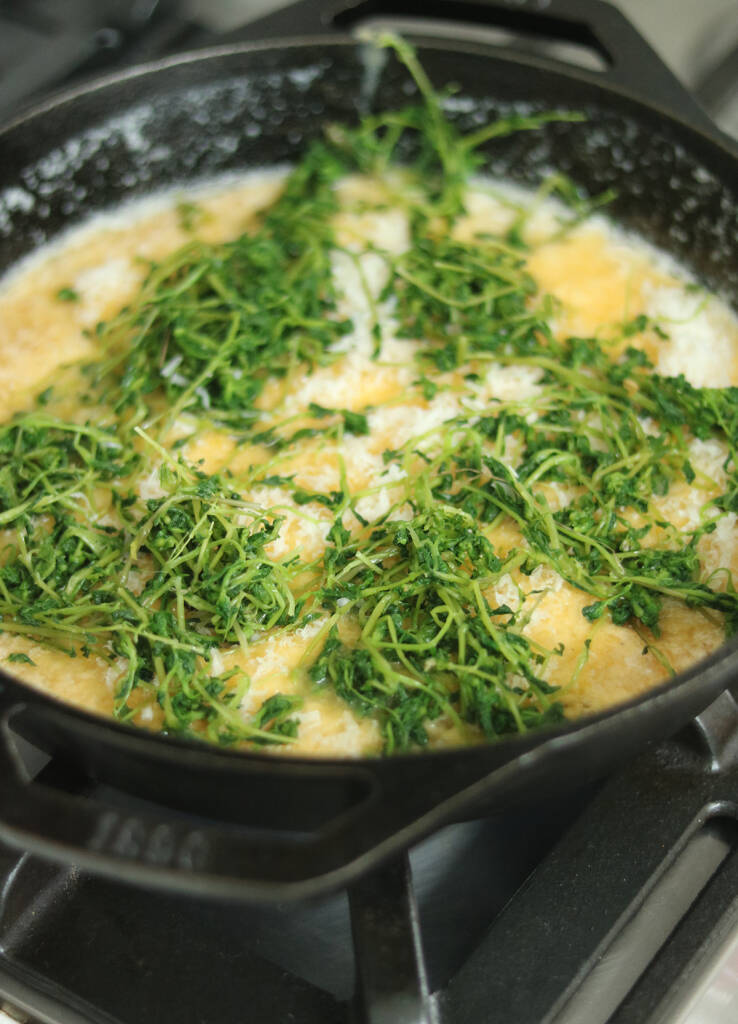 Chickweed is an edible plant loaded with flavor and very versatile in ...