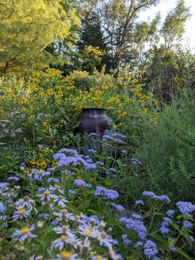 Required Reading: 'Prairie Up: An Introduction to Natural Garden Design ...