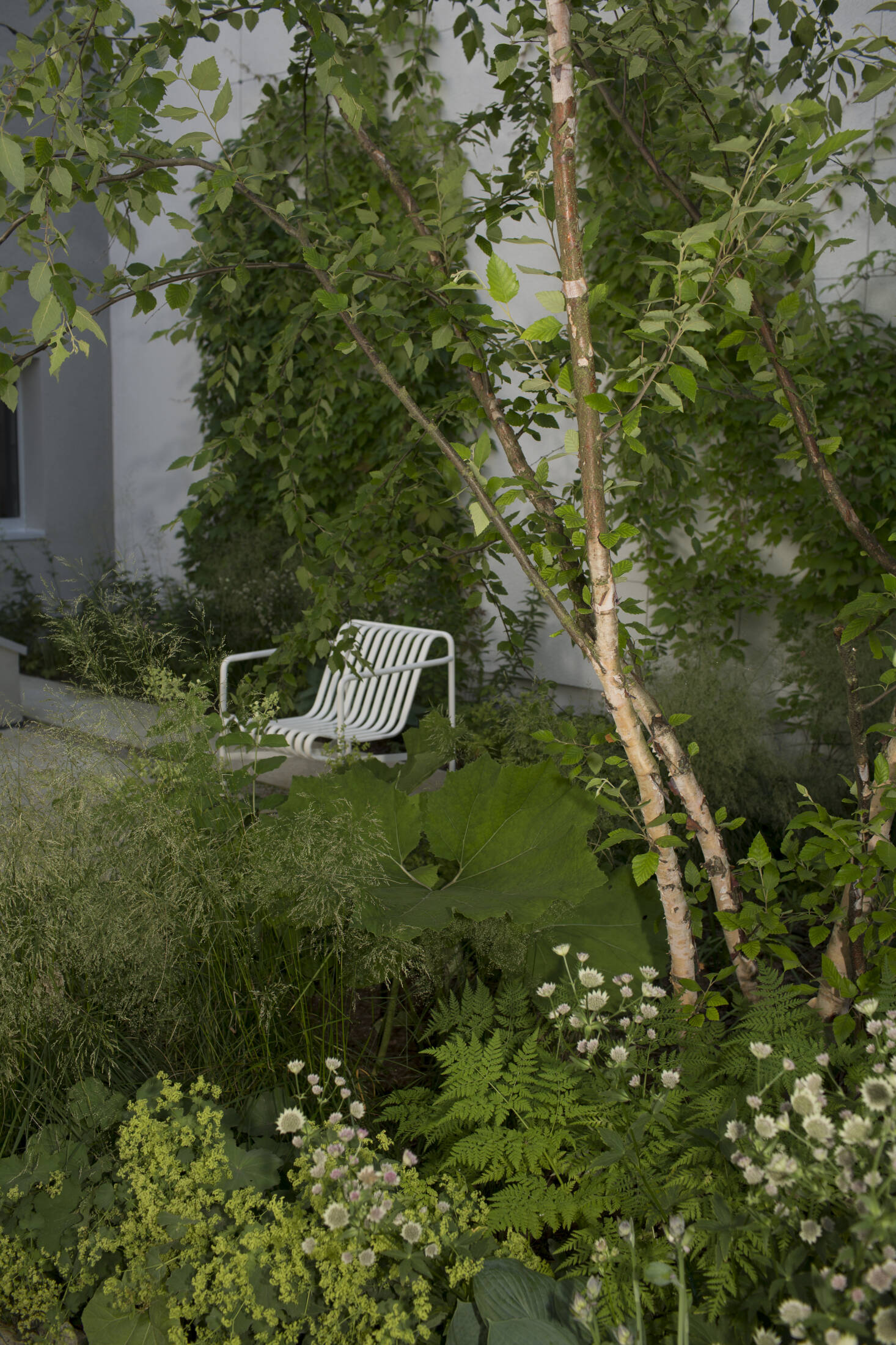 Garden Visit: A Verdant Courtyard in Lithuania - Gardenista