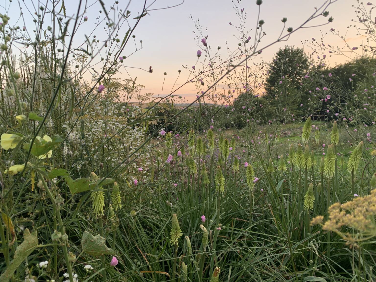 The Romance of Rubble: Why People Are Talking About Gardening With ...
