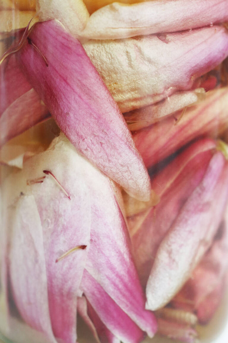 Magnolia flowers are edible, and an aromatic ingredient