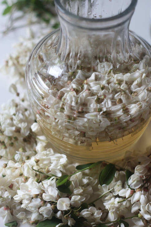 Edible flowers in spring offer beauty as well as unique flavor