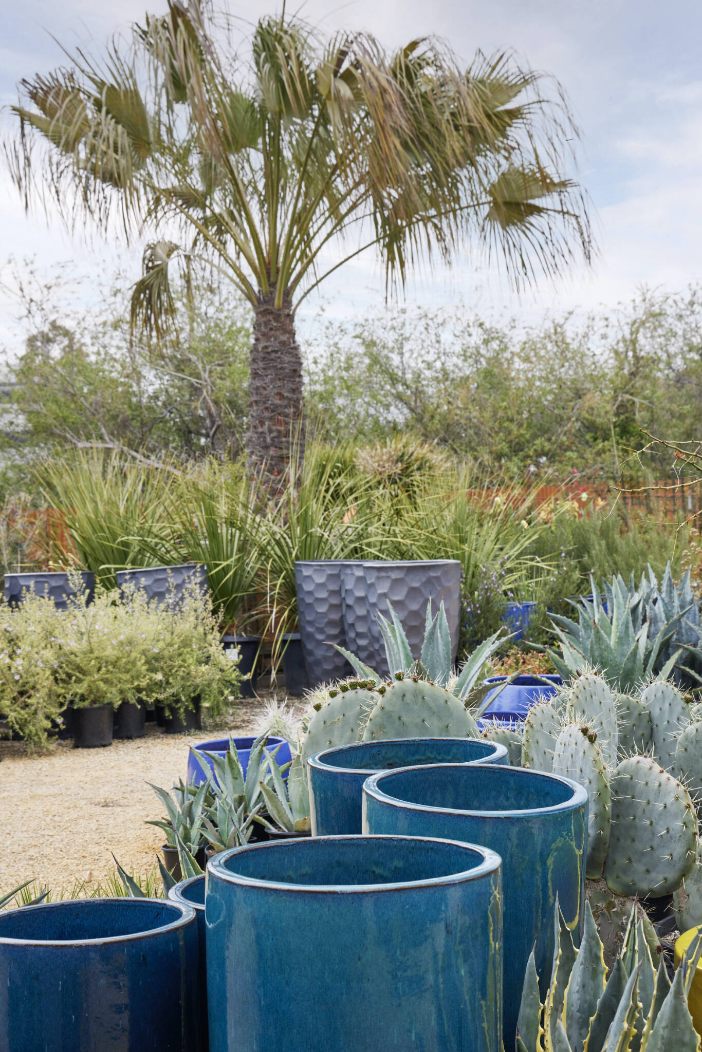 Shopper's Diary: Flora Grubb, Now in Los Angeles - Gardenista