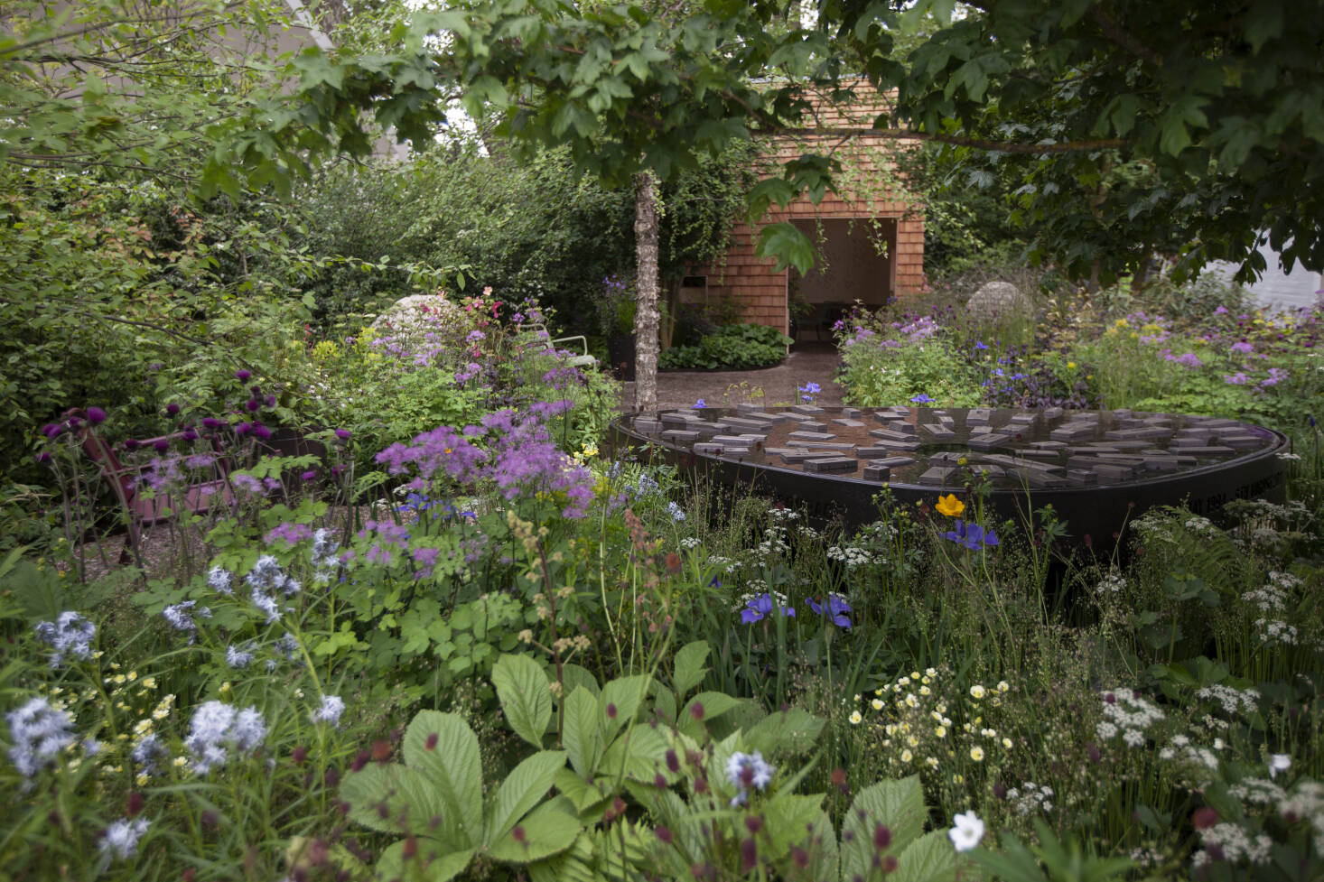 Chelsea Flower Show 2023: Harris Bugg's Garden Wins Best in Show