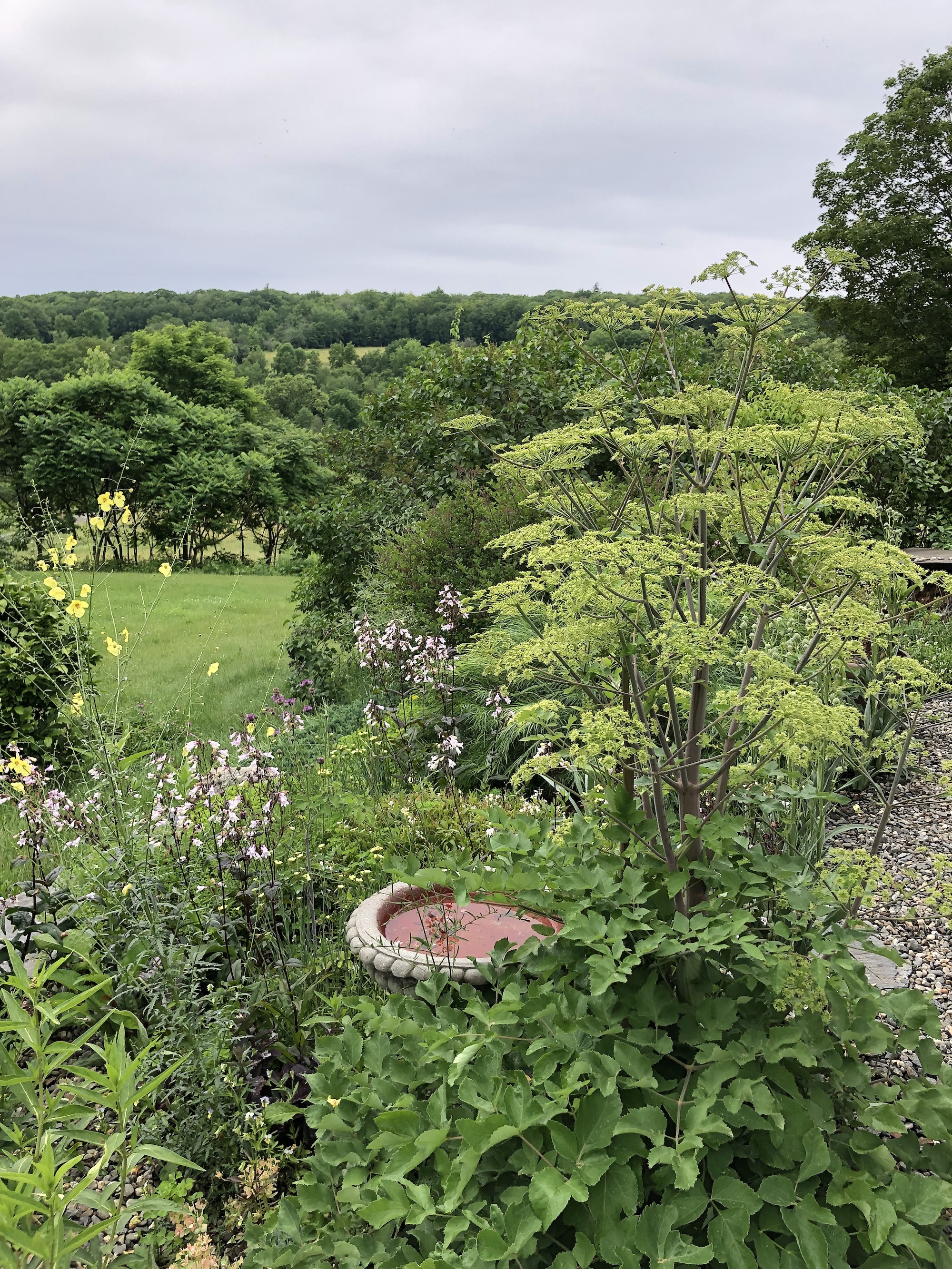Garden Visit: Helen O'Donnell's Laissez-Faire Garden in Vermont