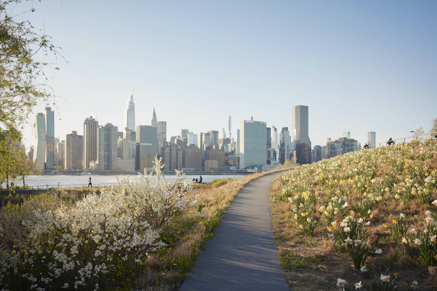 'New York Green' Author Ngoc Minh Ngo on the Best NYC Parks