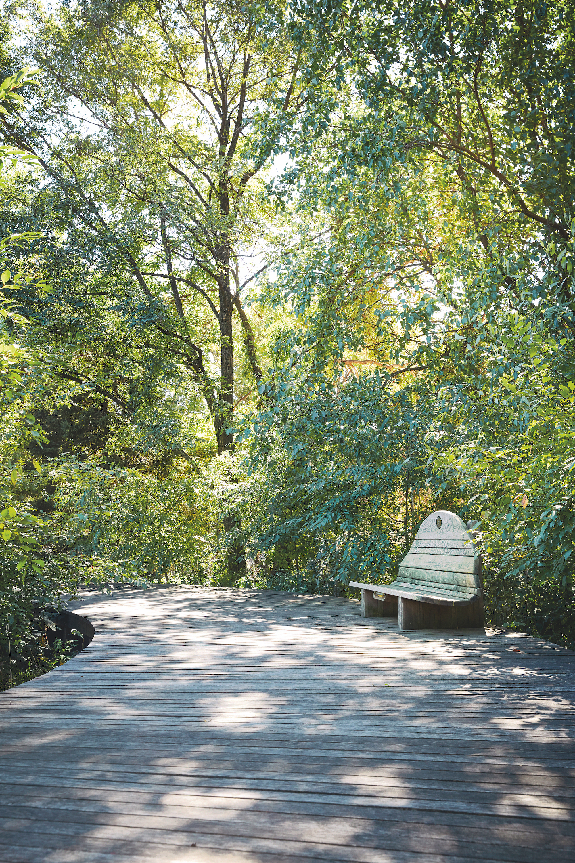 'New York Green' Author Ngoc Minh Ngo on the Best NYC Parks
