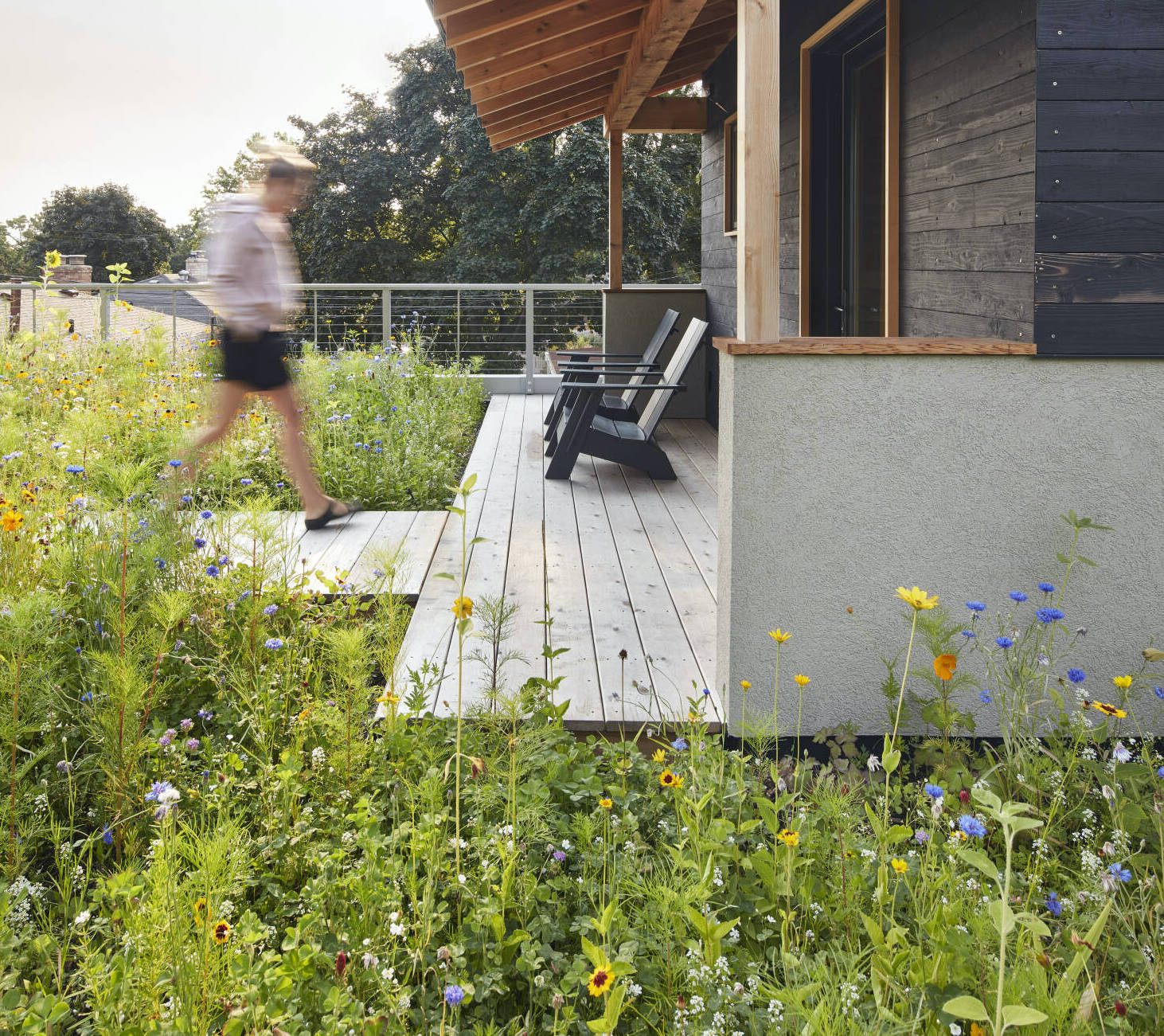 8 Favorites: Green Roof Inspiration - Gardenista