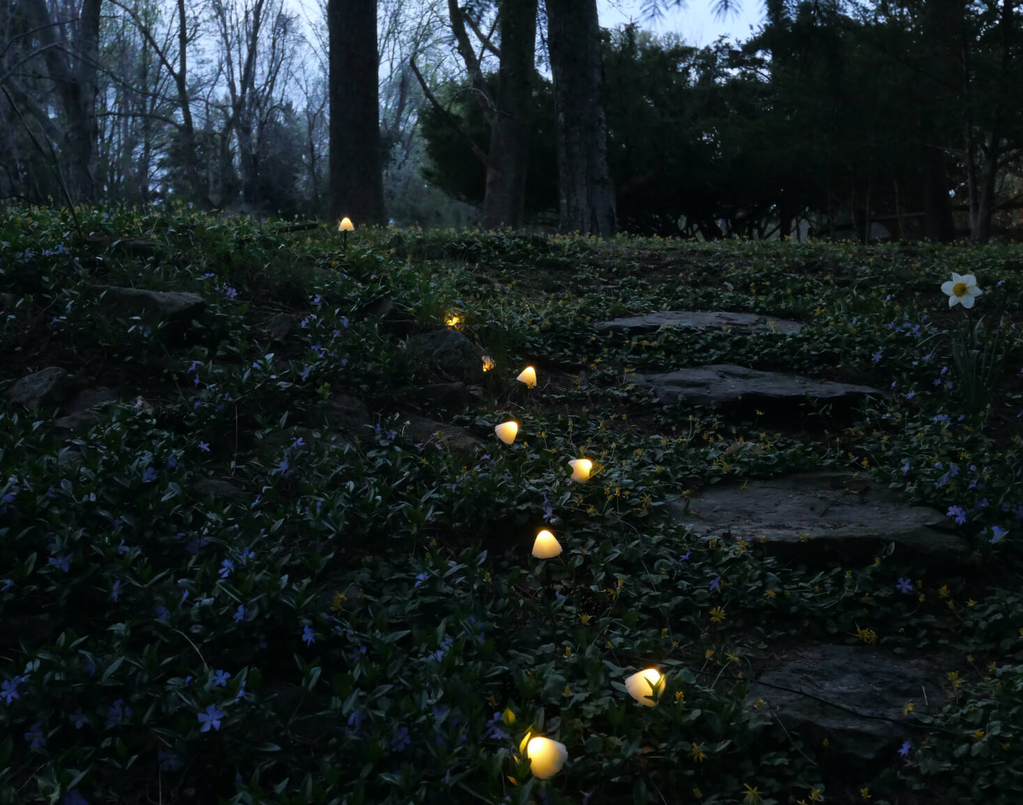 The Year of Magical Lighting (or How I Nailed My Outdoor Lighting ...