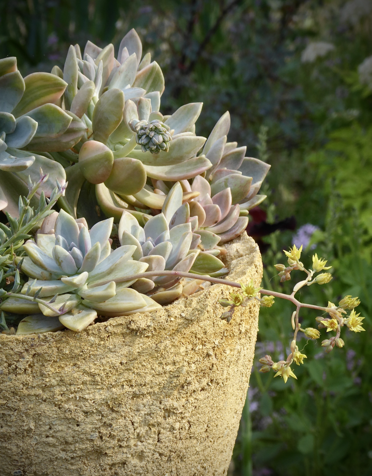 Sarah Price's Painterly Garden at the 2023 Chelsea Flower Show