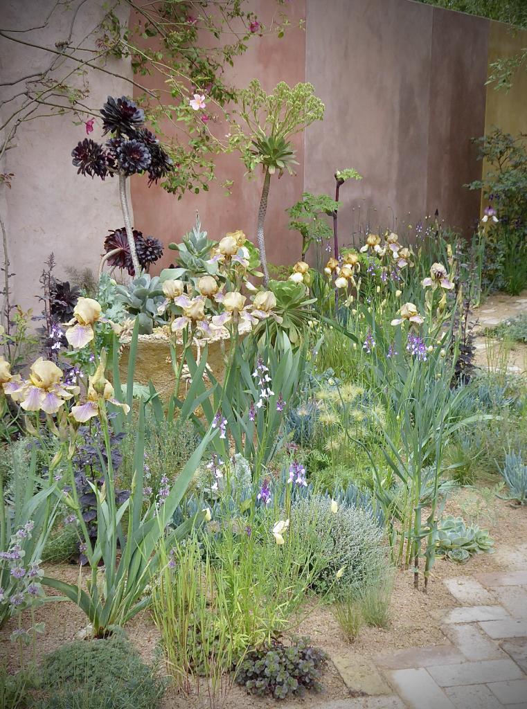 Sarah Price's Painterly Garden at the 2023 Chelsea Flower Show
