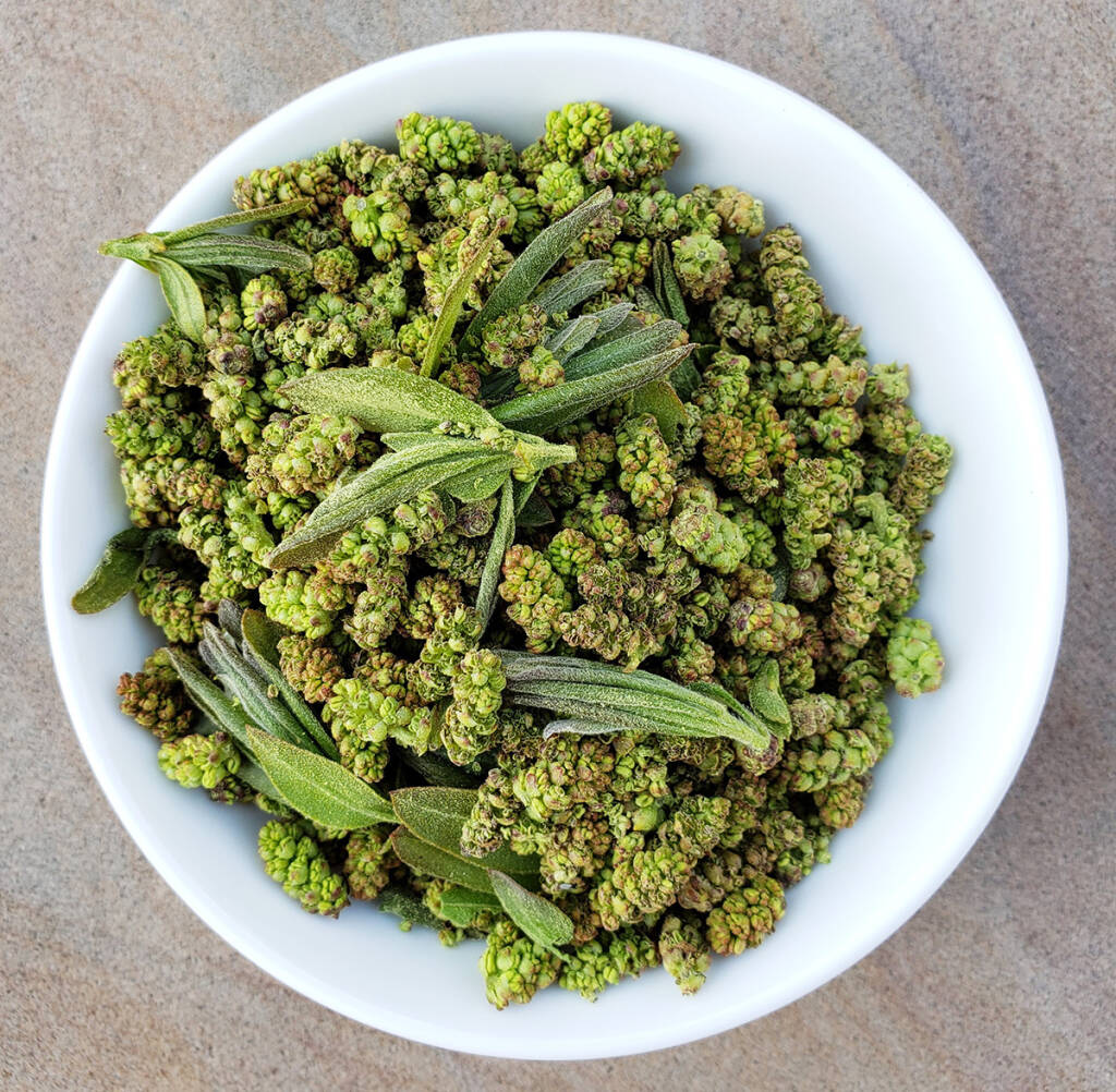 Bayberry: An Herb Native to North America