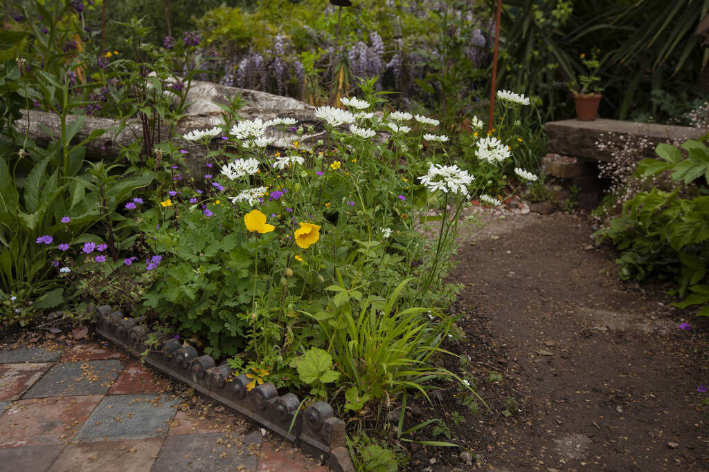 Love Among the Ruins: Recycled Gardens and Biodiversity - Gardenista