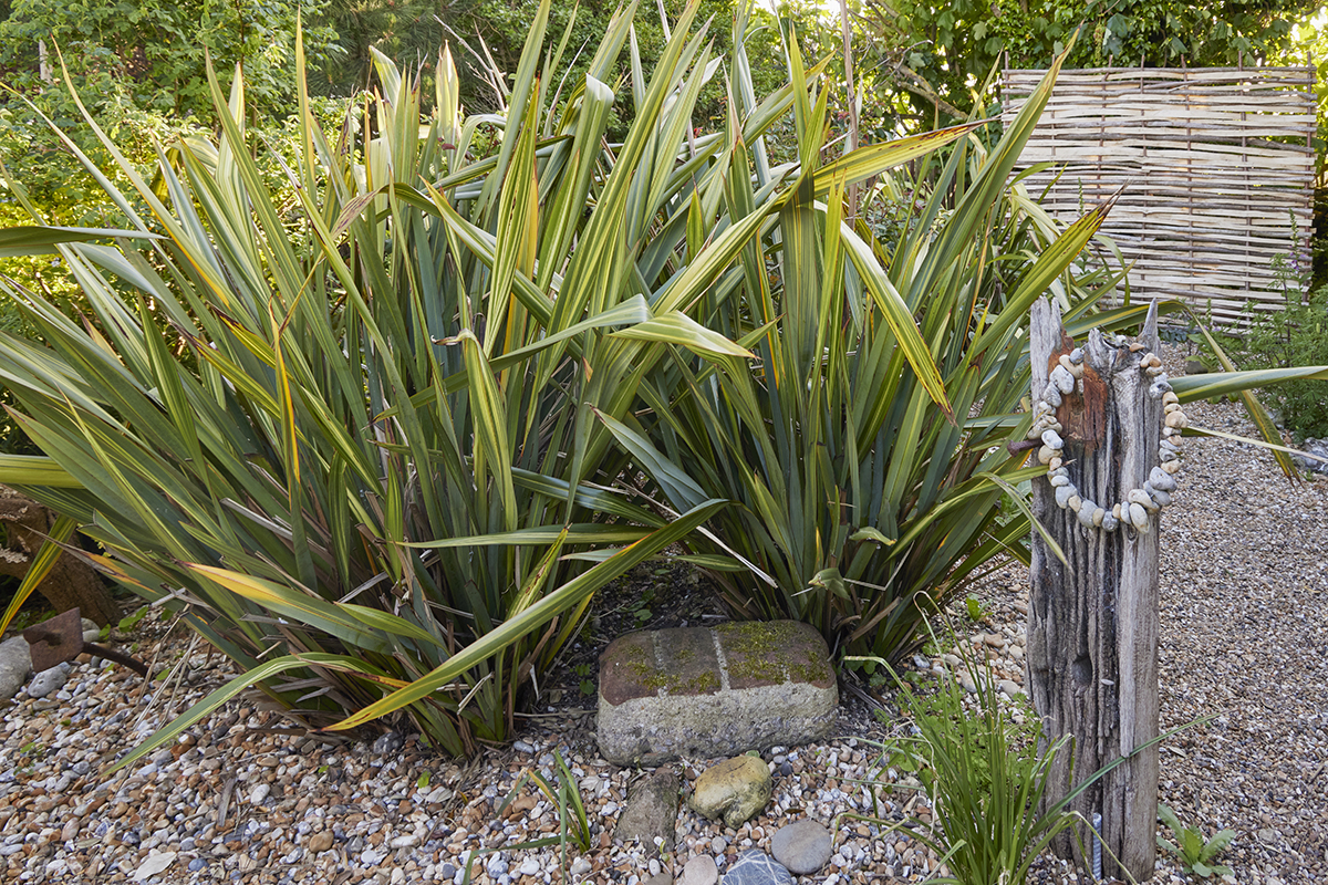 The Roundhouse: Shingle Gardening at Dungeness in England