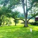 Janet Mavec's Bird Haven Farm in New Jersey: Garden Visit