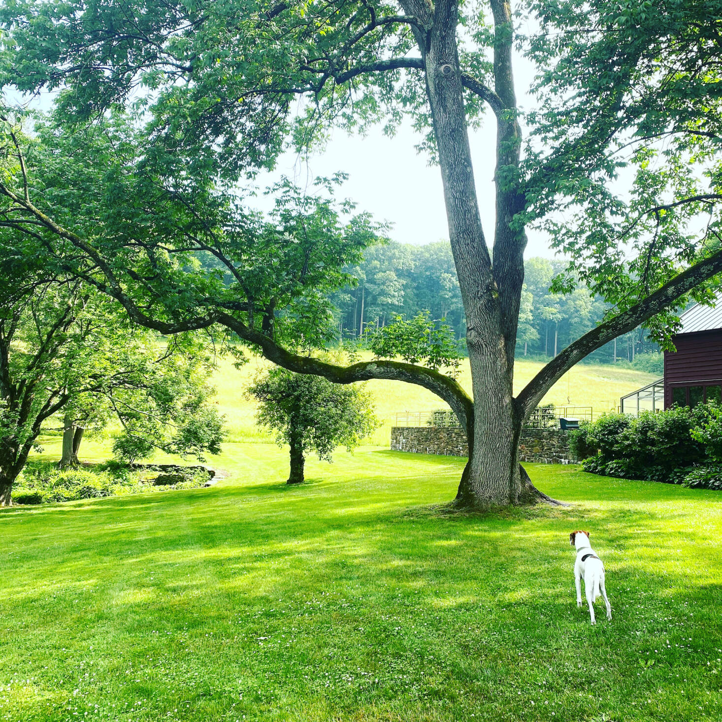 Janet Mavec's Bird Haven Farm in New Jersey: Garden Visit