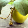 Janet Mavec's Bird Haven Farm in New Jersey: Garden Visit