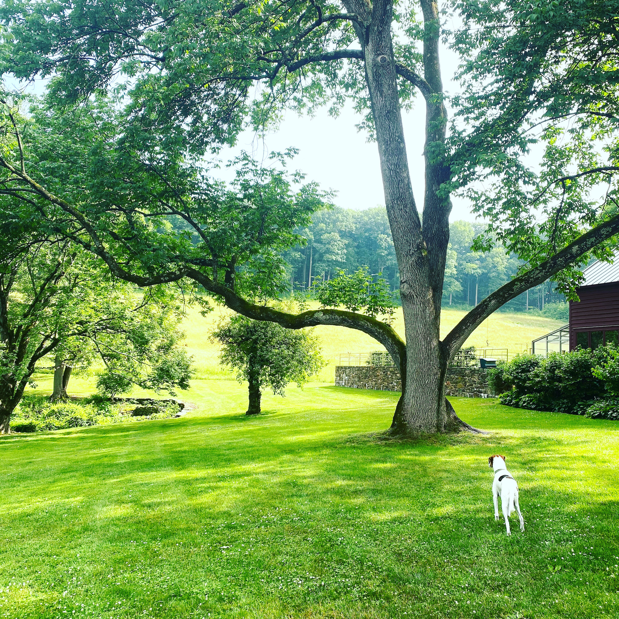 Janet Mavec's Bird Haven Farm in New Jersey: Garden Visit