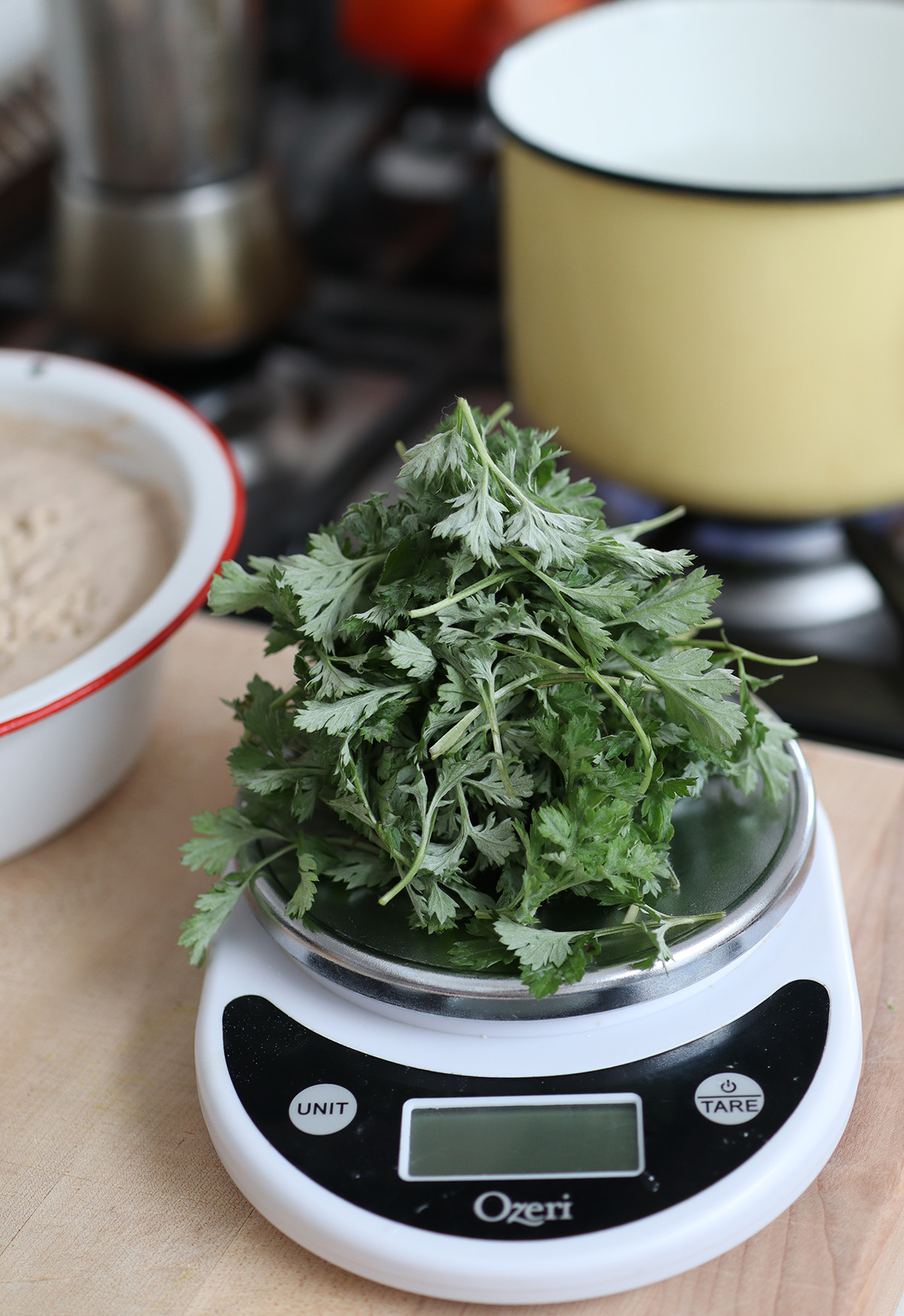 Mugwort is a plant eaten by invasivores - it is an edible herb but is ...