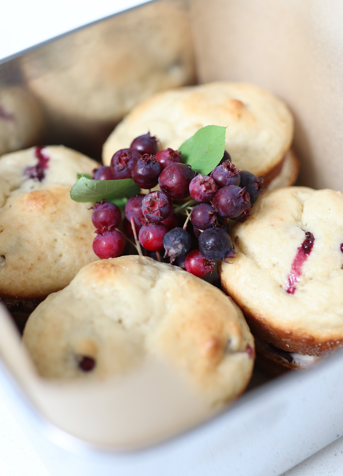 Serviceberries: Forage the Sweet Fruit for Good Eats