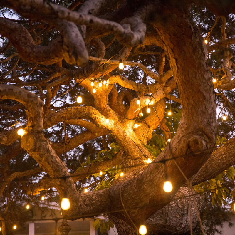 Sale Alert: Solar String Outdoor Lights at a Discount - Gardenista