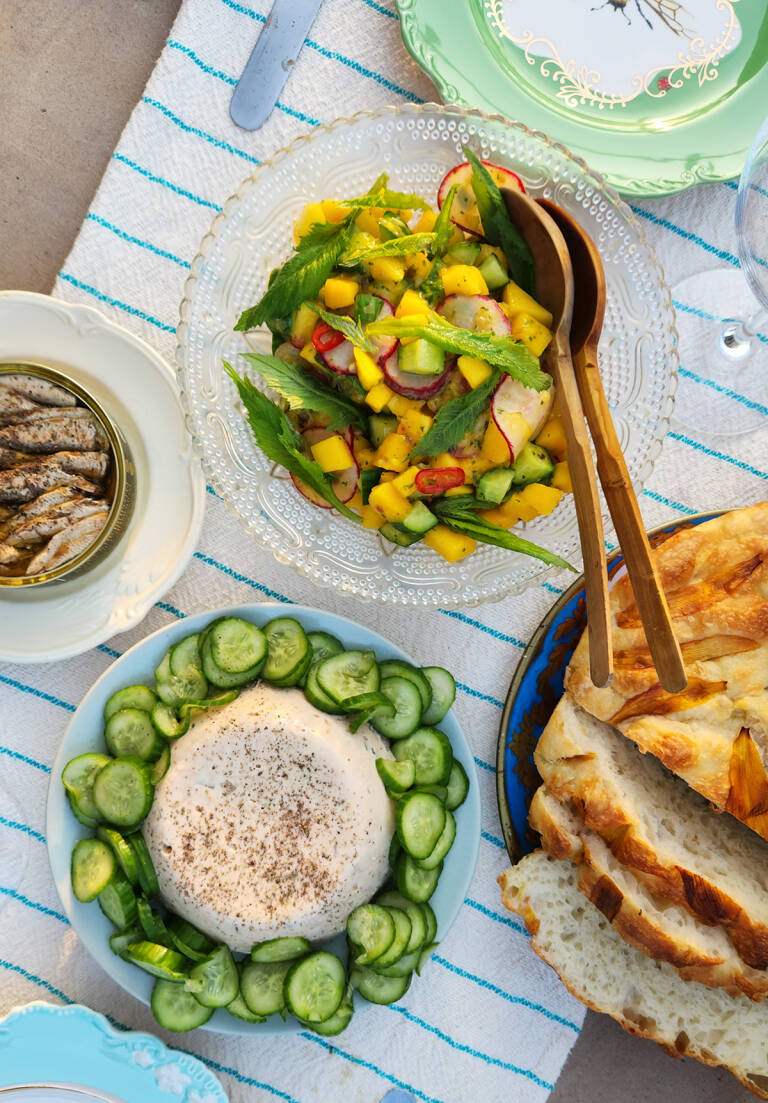 American Burnweed: How to Use the Edible North American Herb