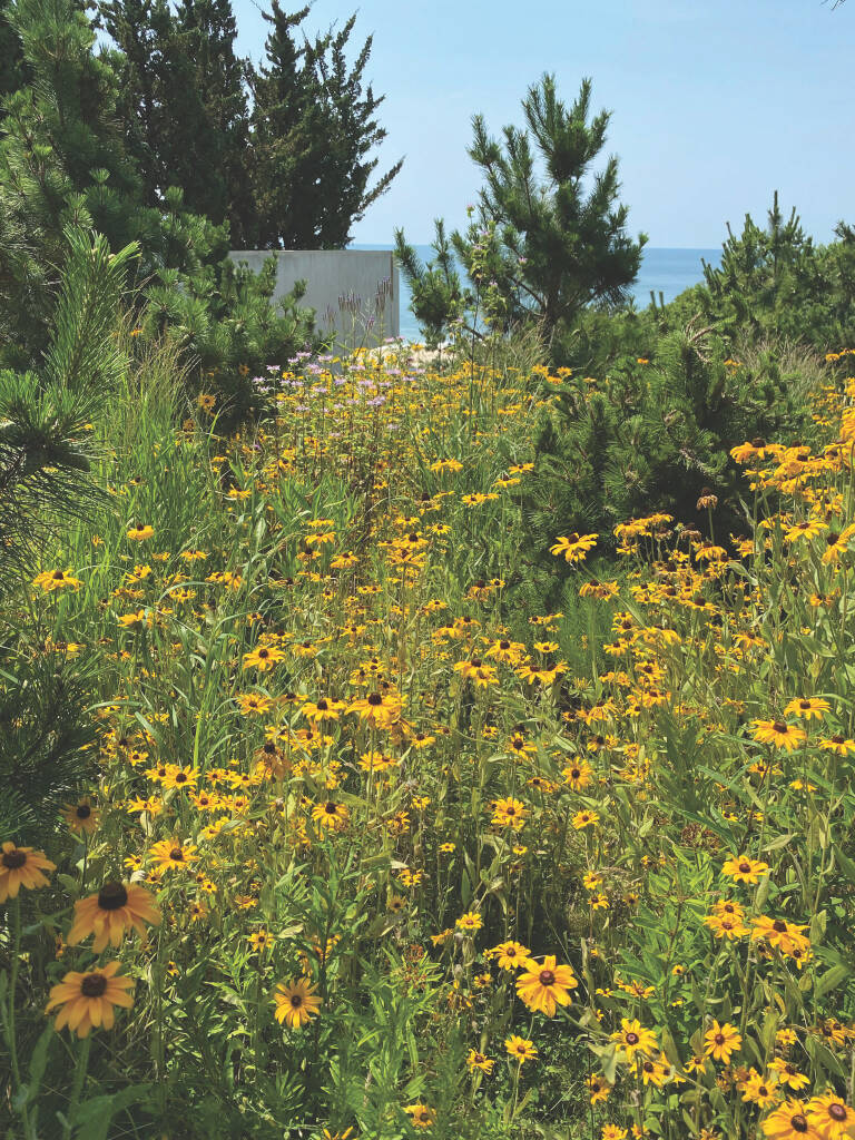 Nature-Based Gardening: 12 Tips from Perfect Earth Project