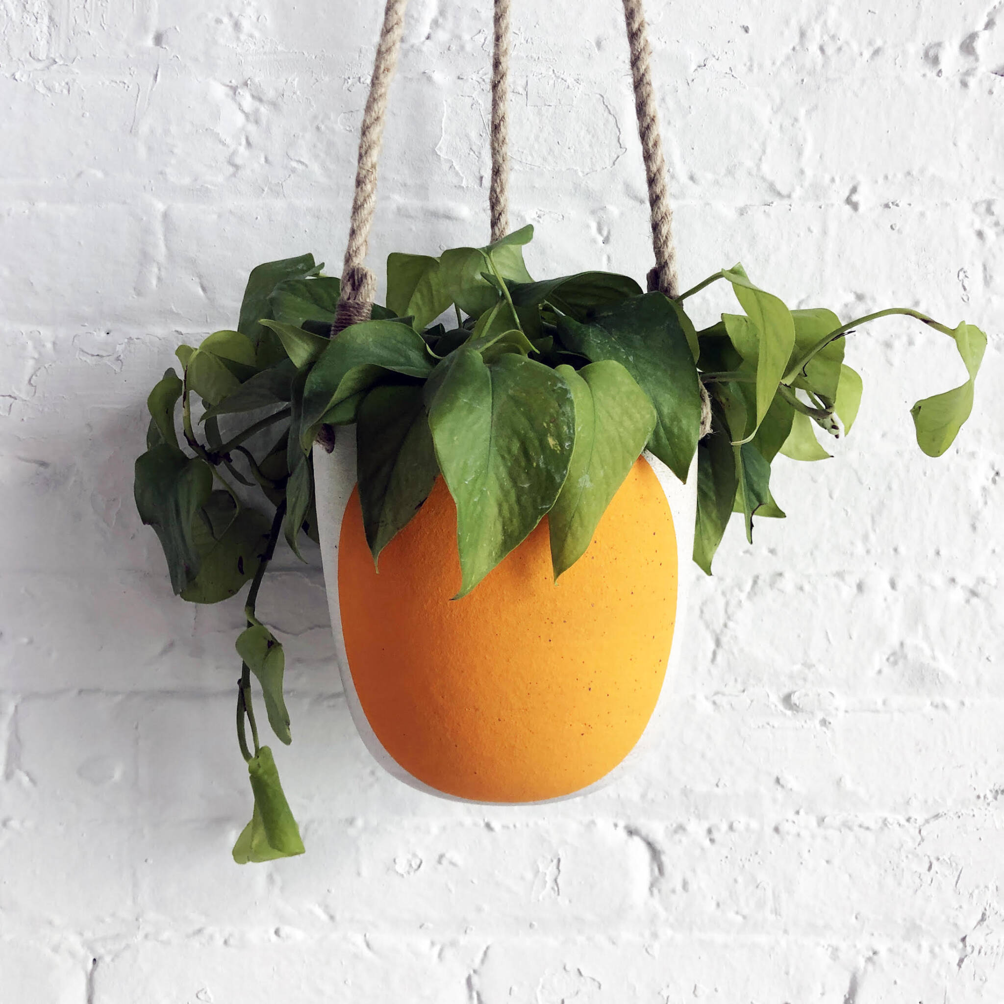 Michele Quan Painted Planters and Other Haute-Hippie Garden Designs