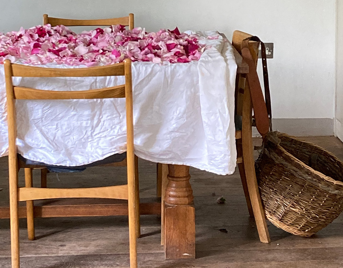 Rose petals are a fragrant and delicious ingredient