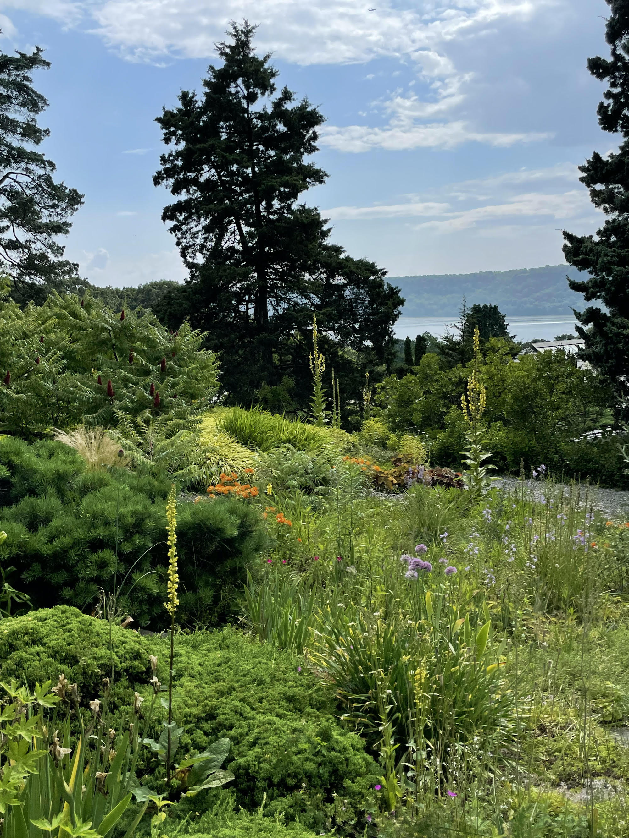 Cathy Deutsch of Wave Hill: 10 Questions with the Director of Horticulture