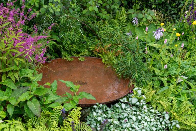 Night Pollinators: How to Design a Garden that Helps Moths