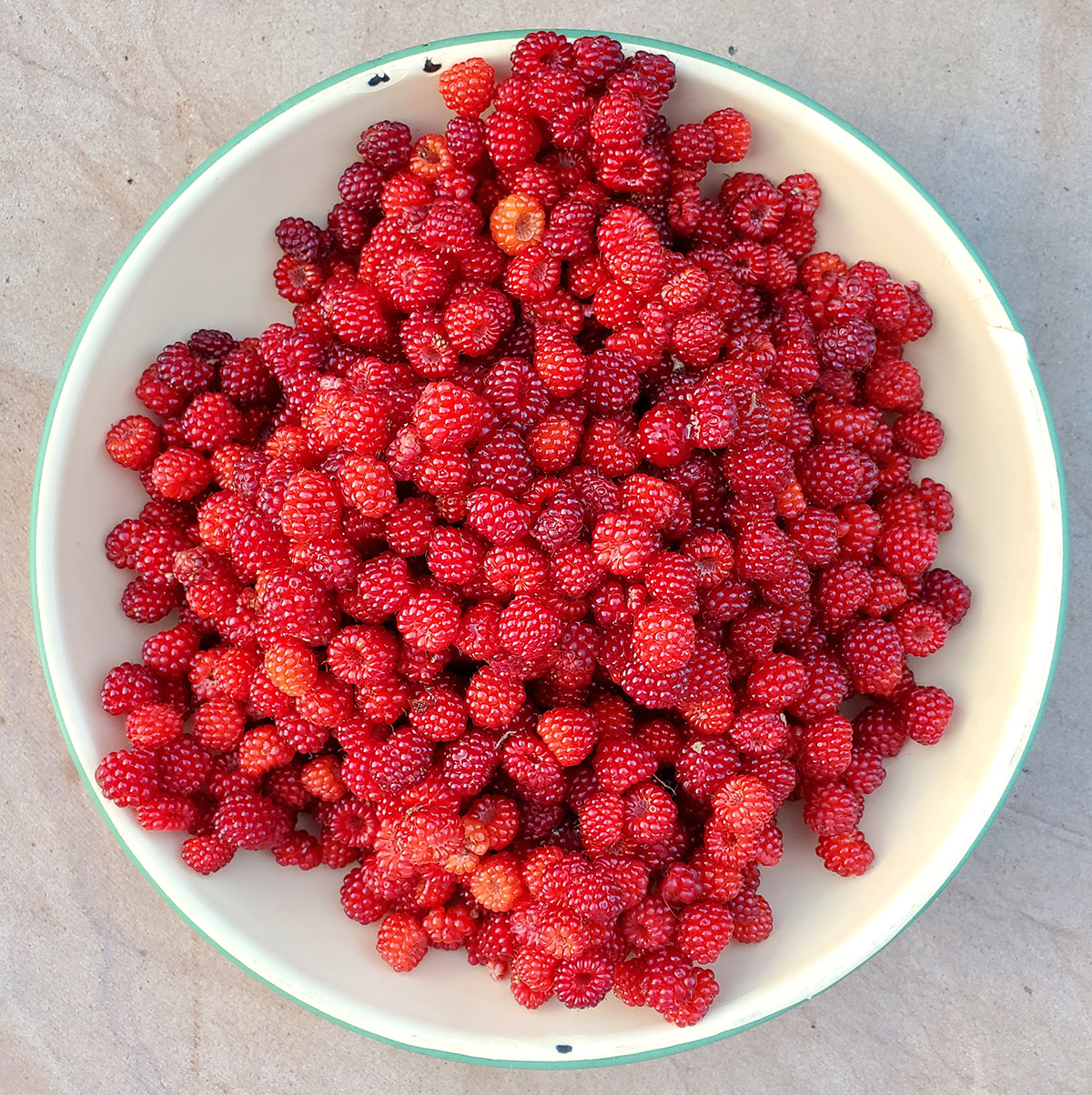 Wineberries: Recipes Using the Raspberry Native