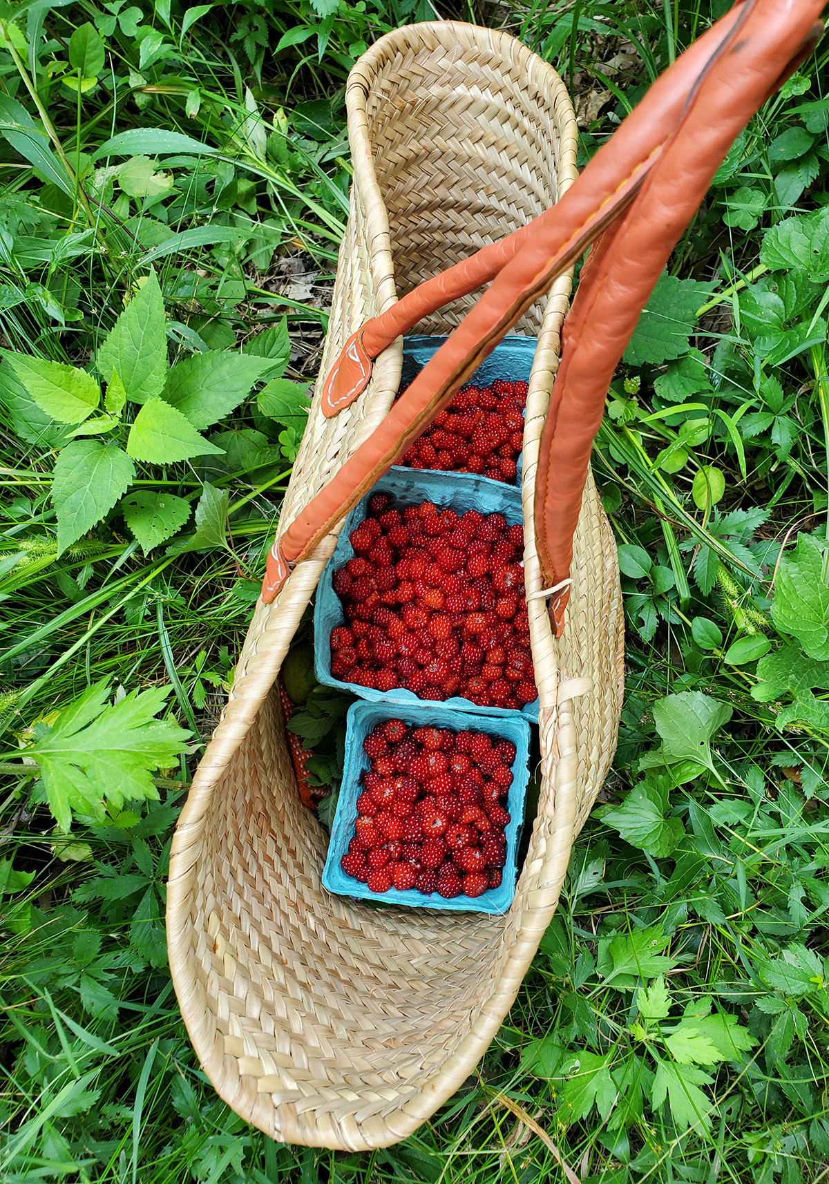 Wineberries: Recipes Using the Raspberry Native