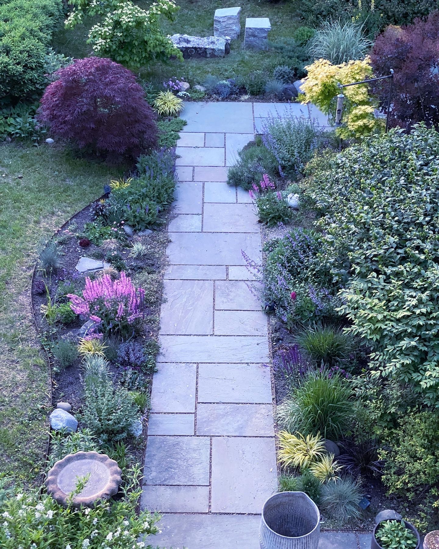 The Lavender Ghost Garden: Amy Ilias and Jim Denney's Backyard Makeover