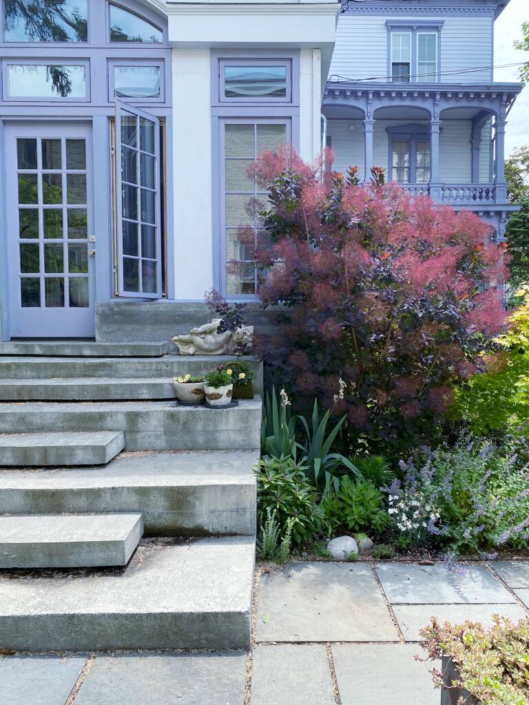 The Lavender Ghost Garden: Amy Ilias and Jim Denney's Backyard Makeover